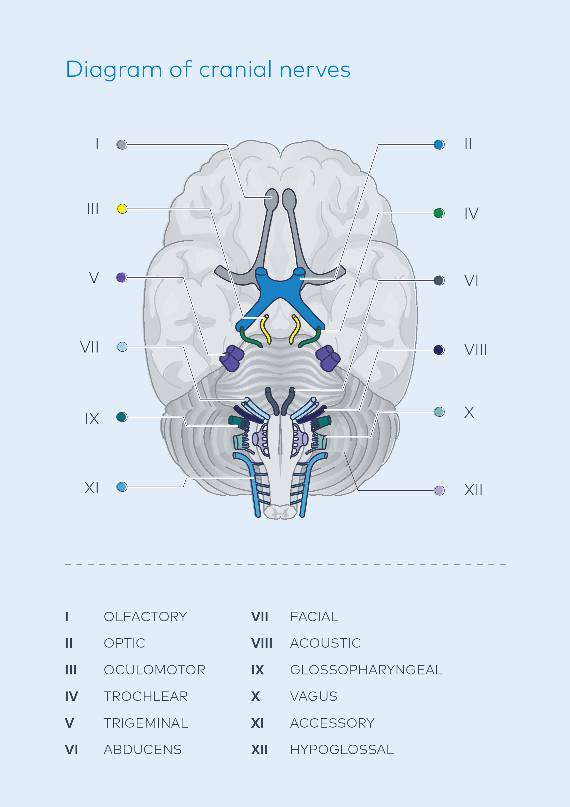 Clival and upper cervical spine side effects | Chordoma Foundation
